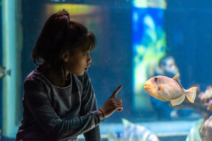 AQUARIUM SEA LIFE PARIS - Billetterie Parc de loisirs - Le Guide des ...