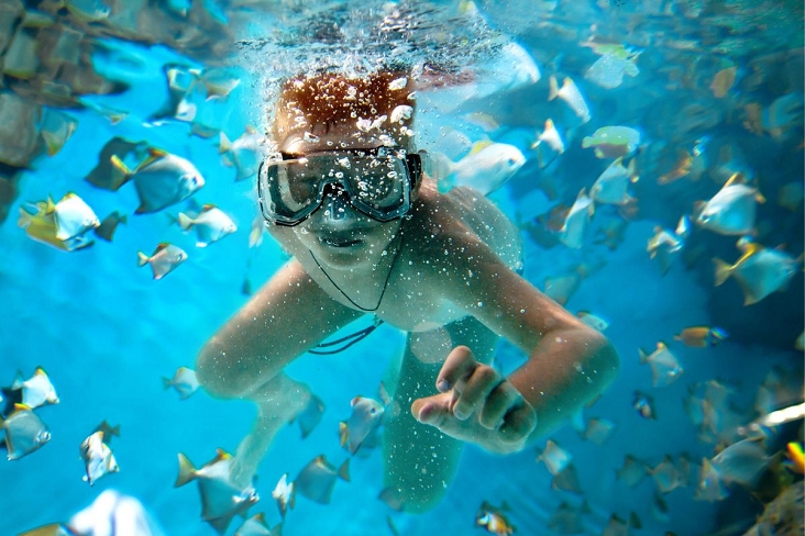 DJURINGA JUNIORS - Colonies de vacances - Le Guide des CSE - Diaporama